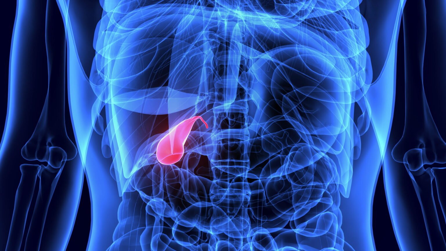 Gallbladder Cancer: Symptoms And Causes | Birmingham HPB